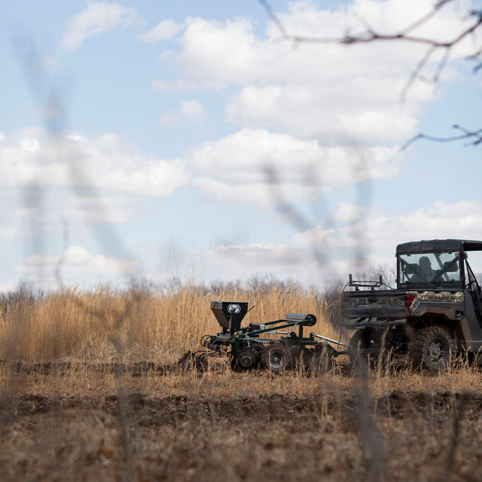 Four Seasons | Swamp Donkey