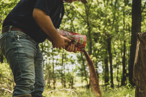 About | Swamp Donkey