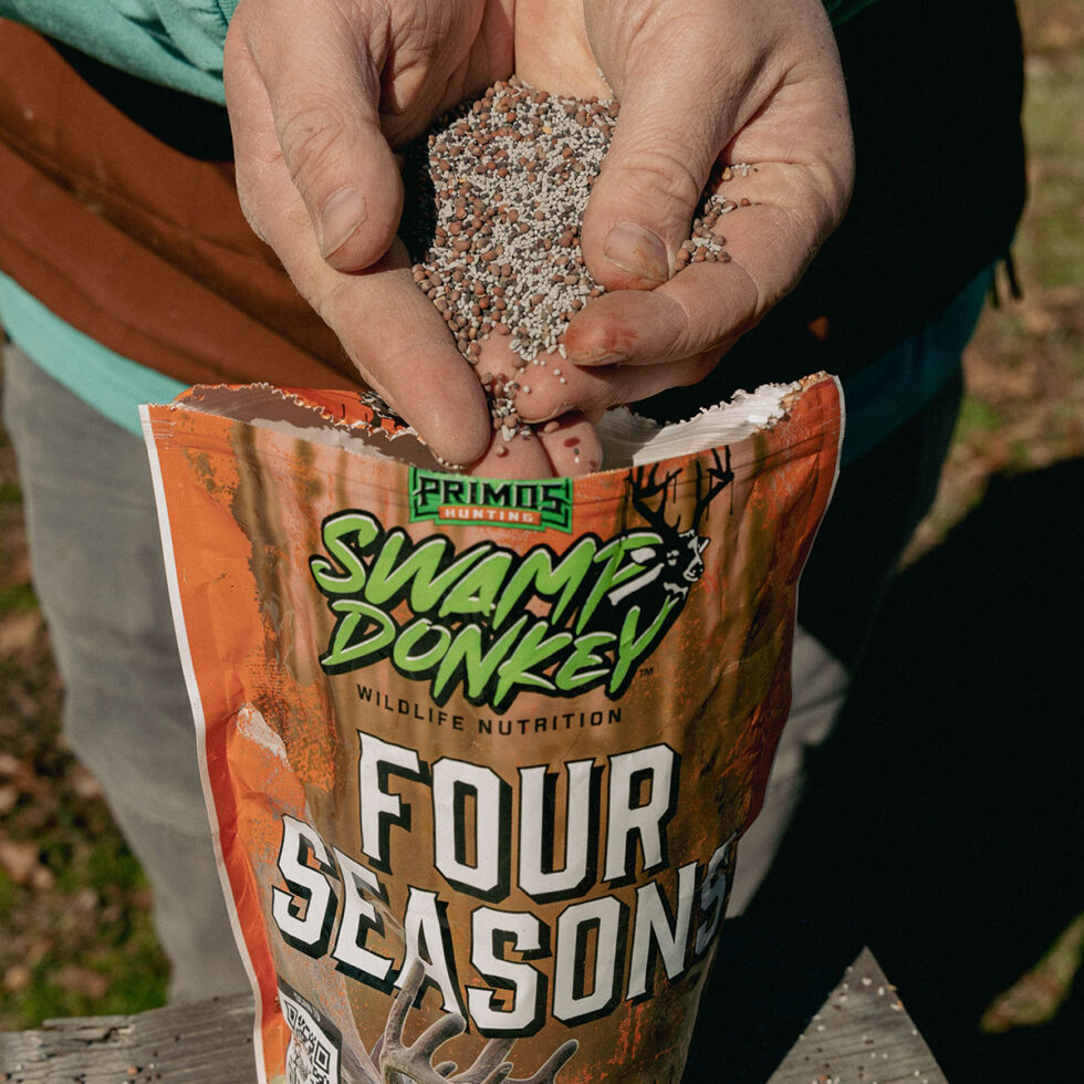 Four Seasons | Swamp Donkey