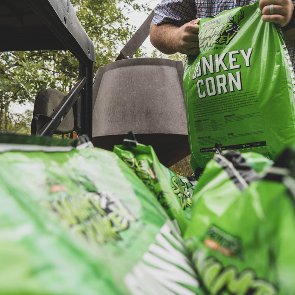 Donkey Corn | Swamp Donkey