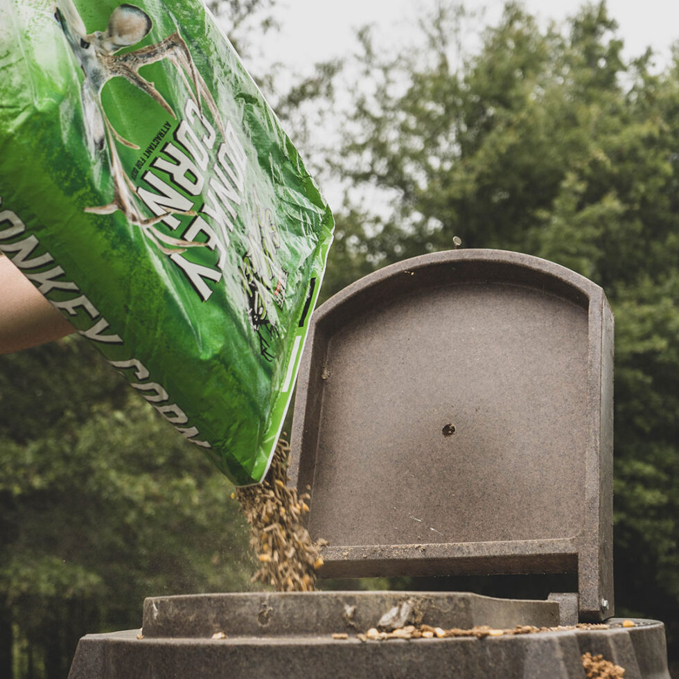 Donkey Corn | Swamp Donkey