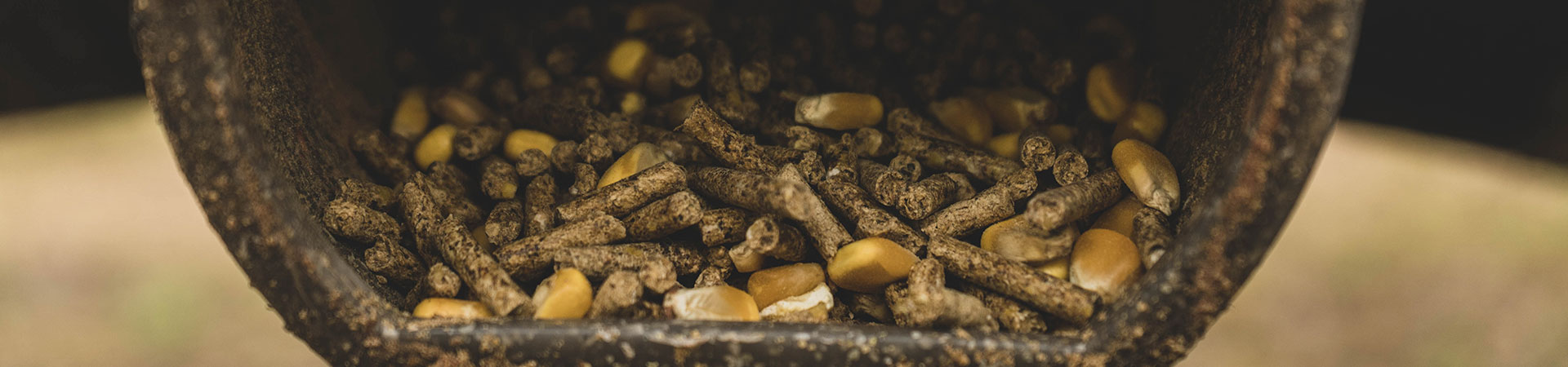 Attractants | Swamp Donkey